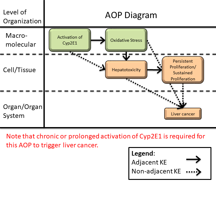 AOP Wiki AOP Wiki