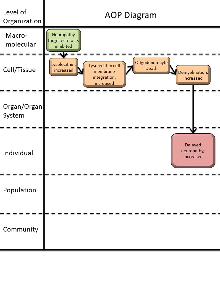 AOP-Wiki